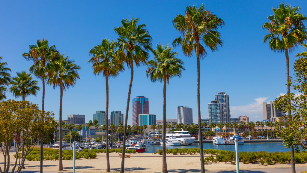 Contact Traffic Tech - Get in Touch for Logistics Solutions - Traffic Tech